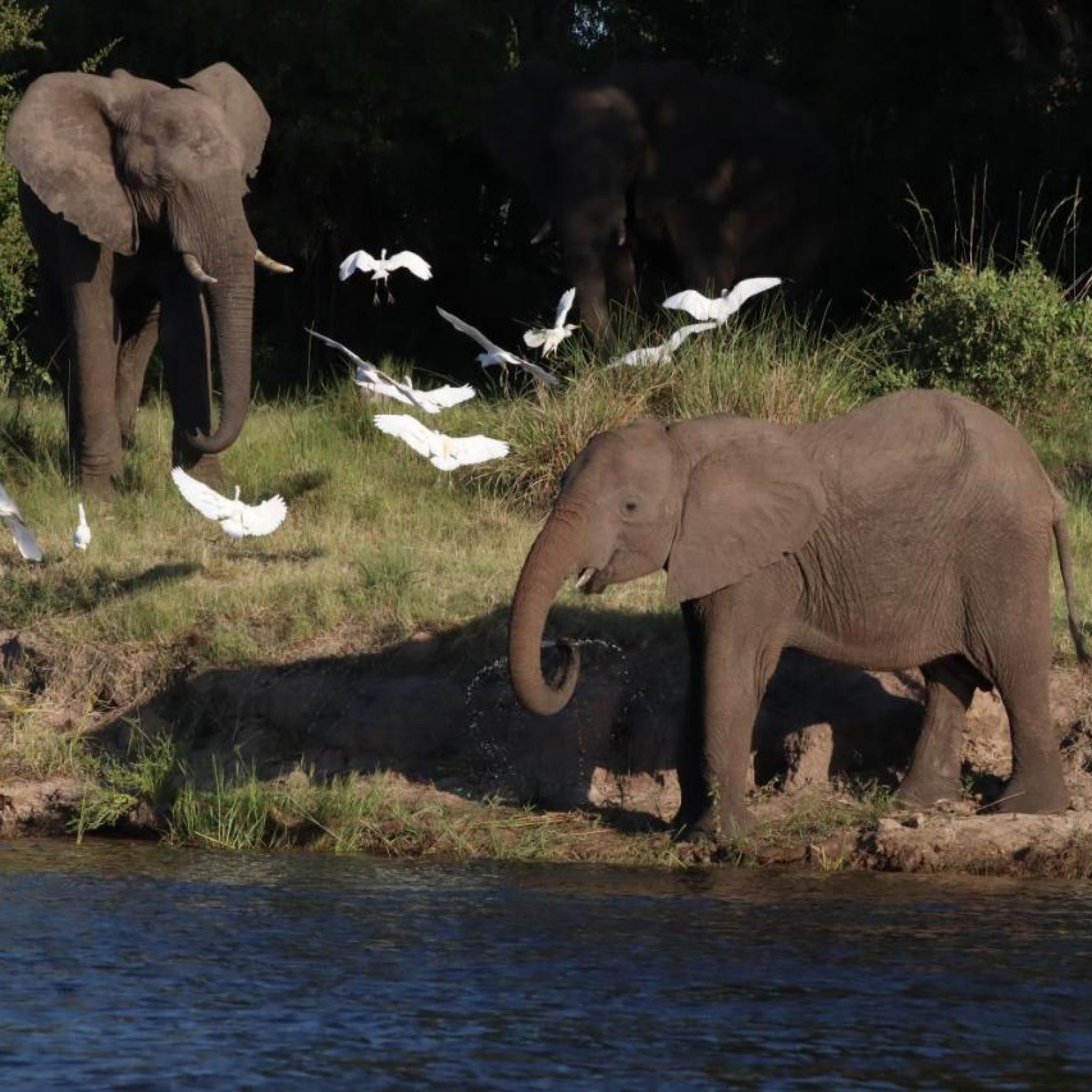 Top 10 reasons to Visit Zambia as a safe country in 2025 - Visit Zambia Ltd